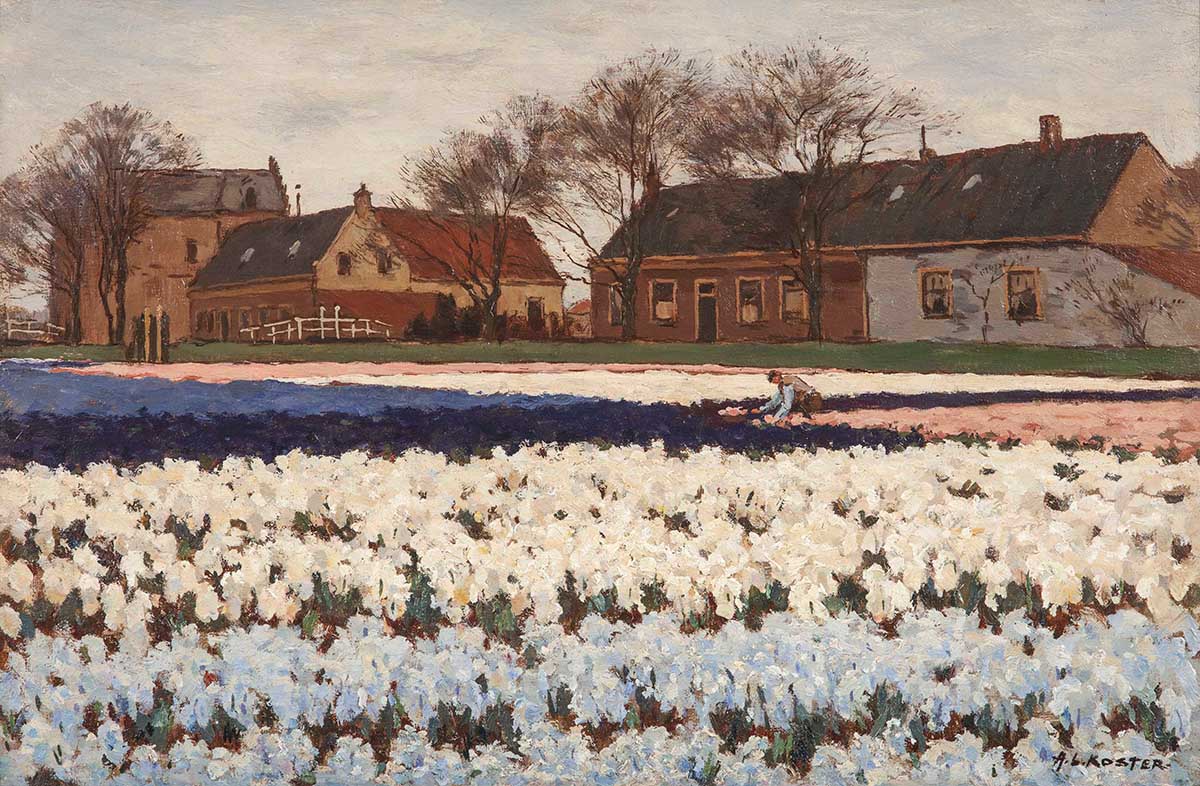 A.L. Koster (1859-1937), Hyacintenkwekerij – ca. 1913 - Ligthart
